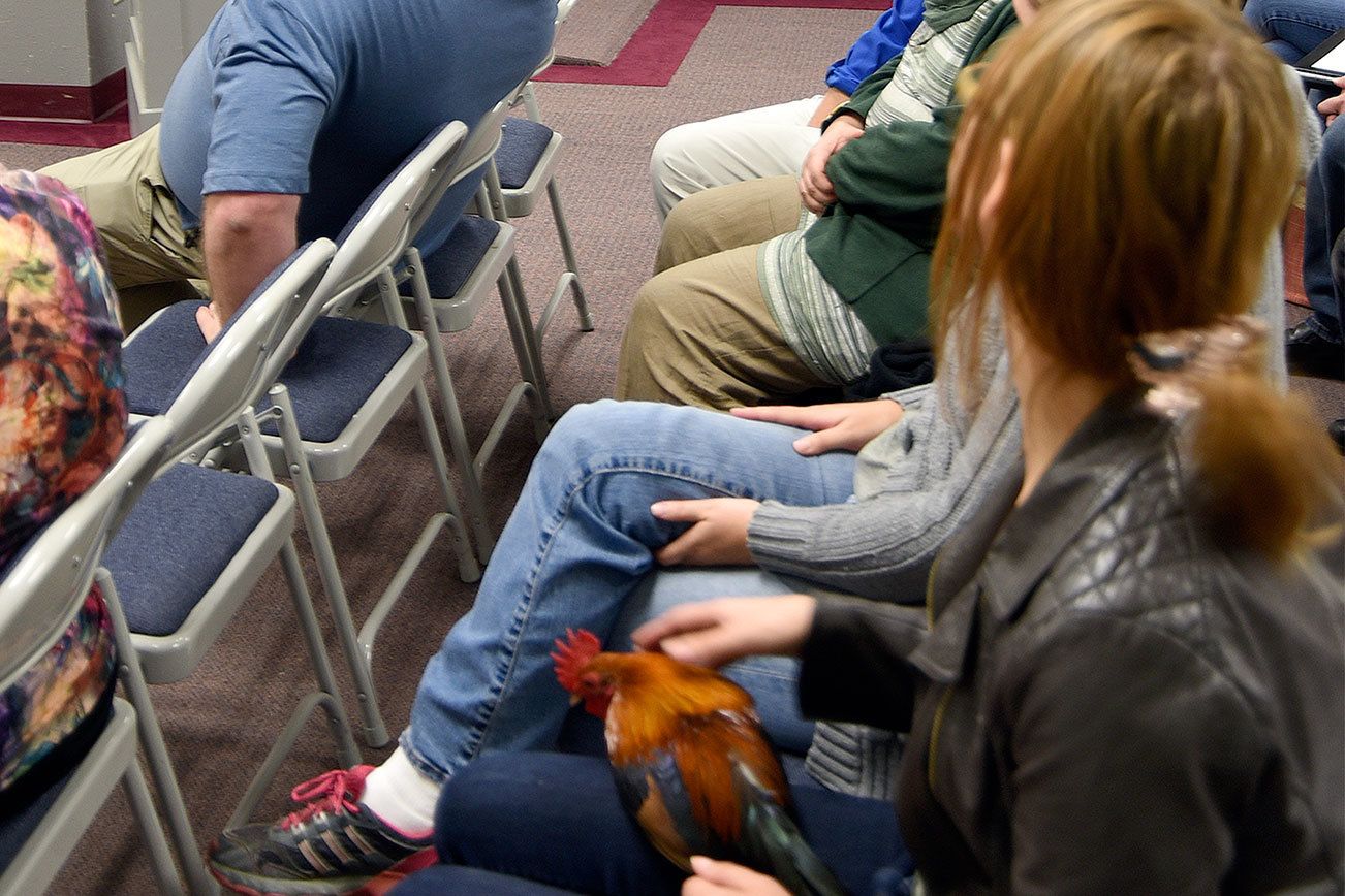 Year in review part 2: A look at local heroes, annual traditions ...