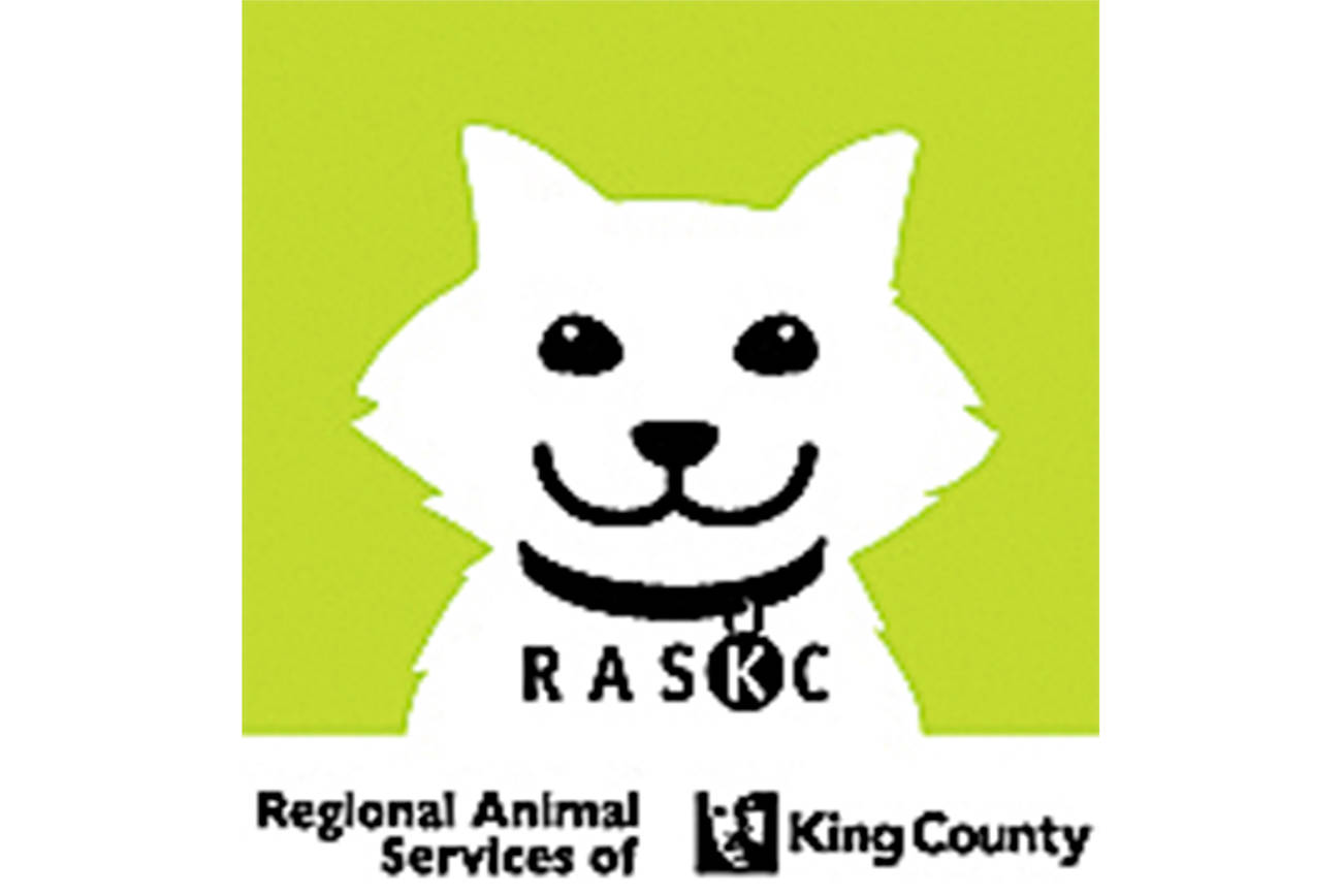King County Animal Services begin pet licensing outreach efforts ...