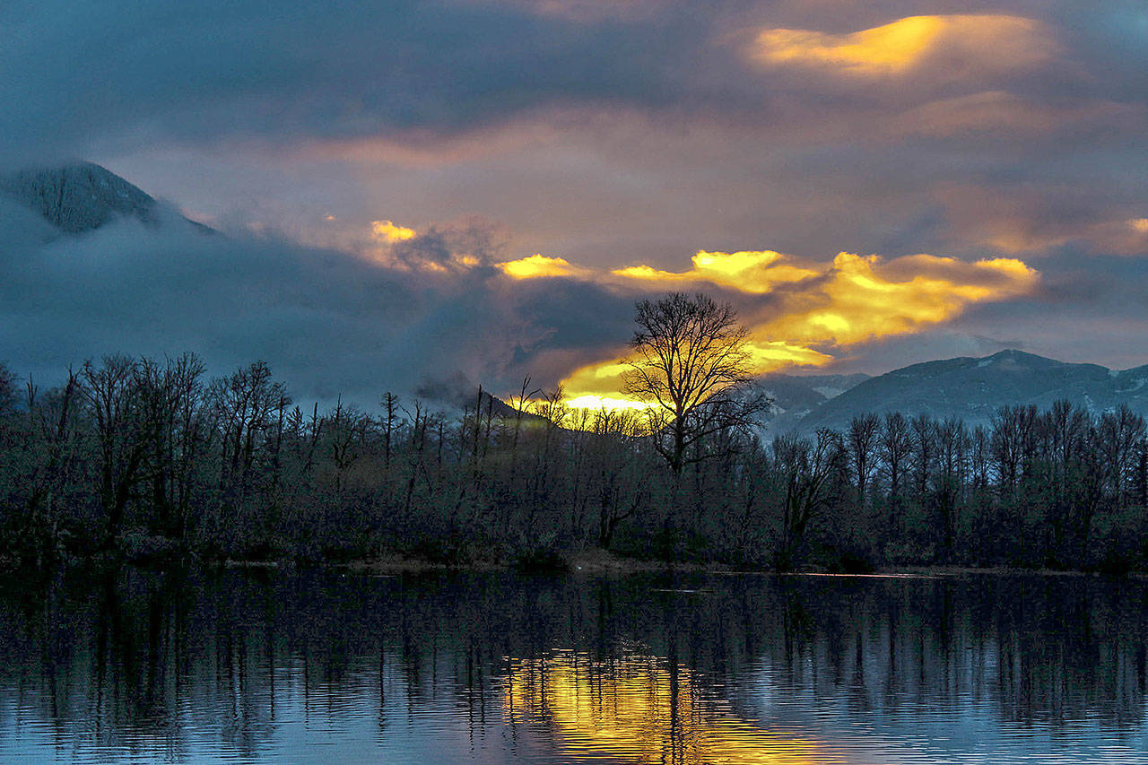 Mount Si students have outstanding showing at state photography contest ...