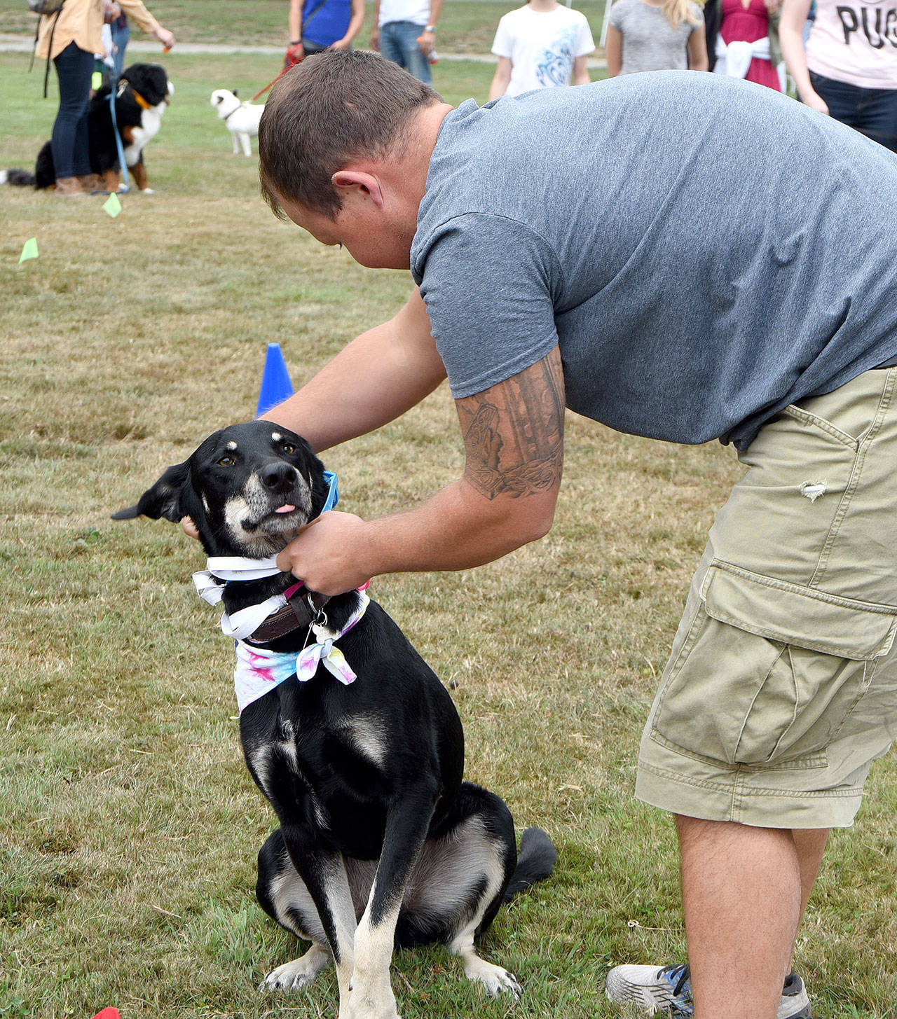 Day of the dogs: DoggieStock 4 doubles in size; day of music and tails ...