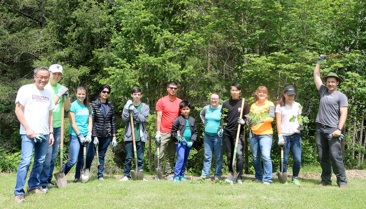 Valley volunteers help remove invasive plants from Stillwater Bog ...