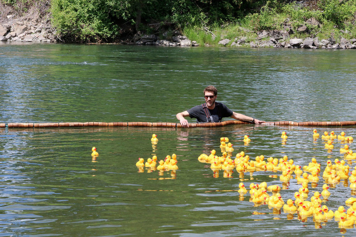 Fall City Day 2019 celebrated the town with treehouses, watermelons ...