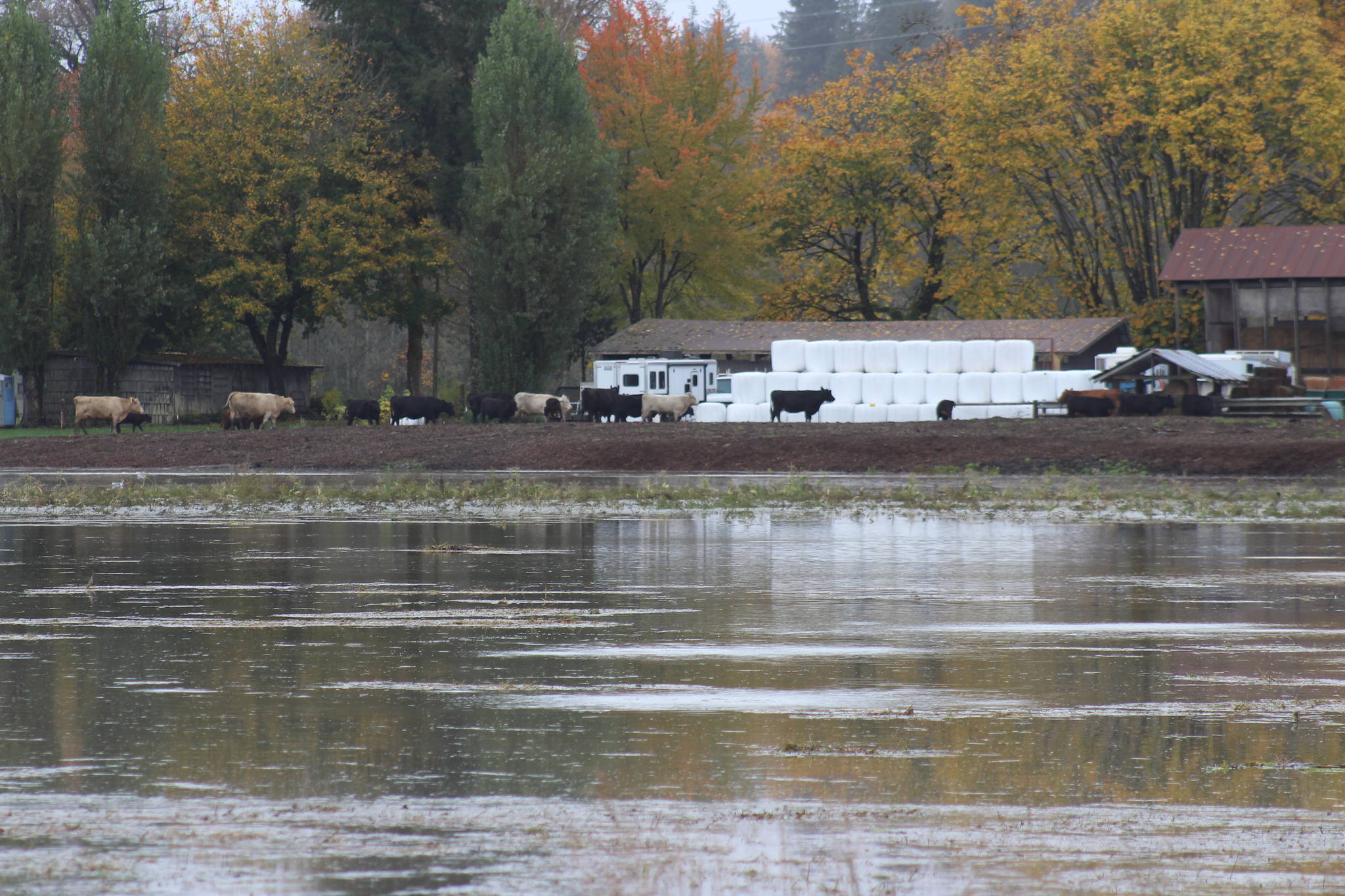 Flooding along Snoqualmie River closes several roads | Snoqualmie ...