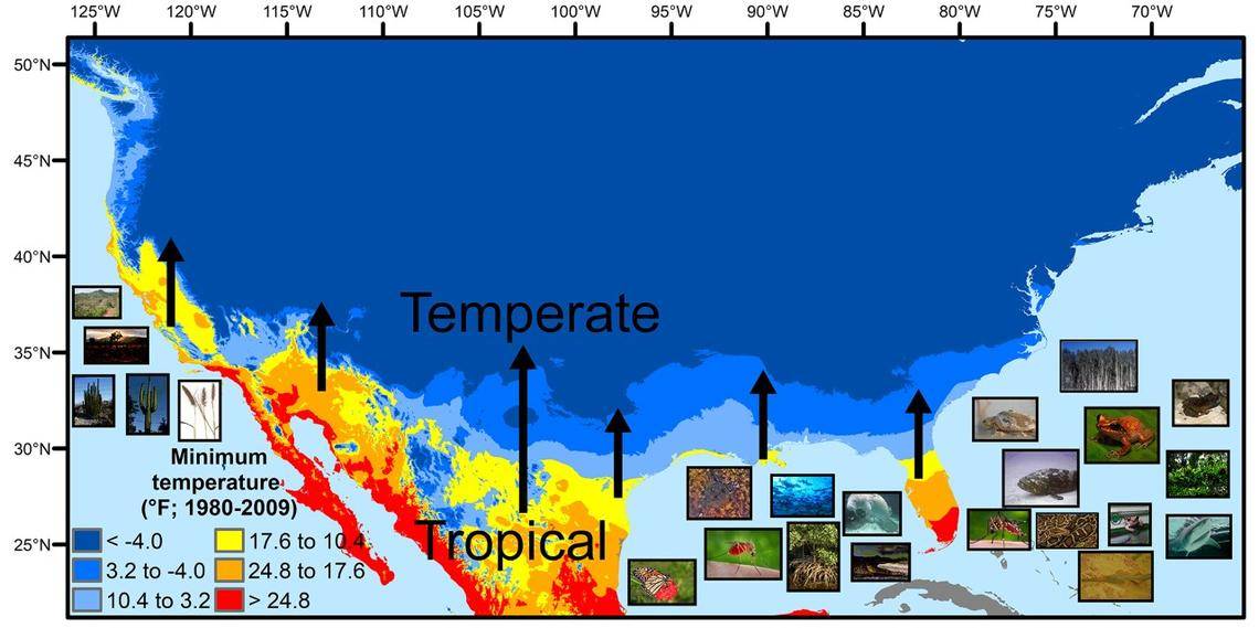 Study: Southern states will “tropicalize” due to climate change ...