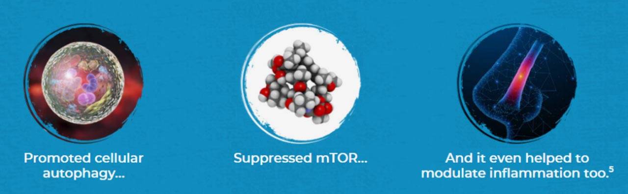 Revivify Nutrition Cell Xtend Plus Supplement Review: Scam or Legit ...