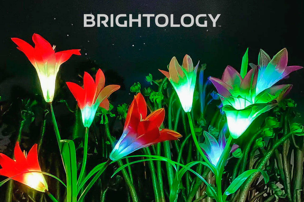 FloraBrite Reviews: Solar-Powered Flower Lights for Home Use ...