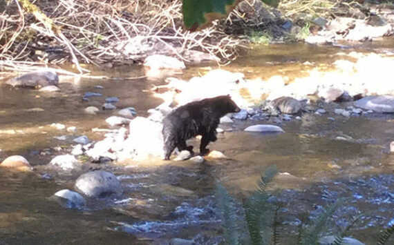 If the Tolt River Dam breaks, these places are at risk of flooding ...