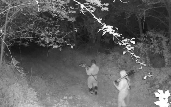 If the Tolt River Dam breaks, these places are at risk of flooding ...