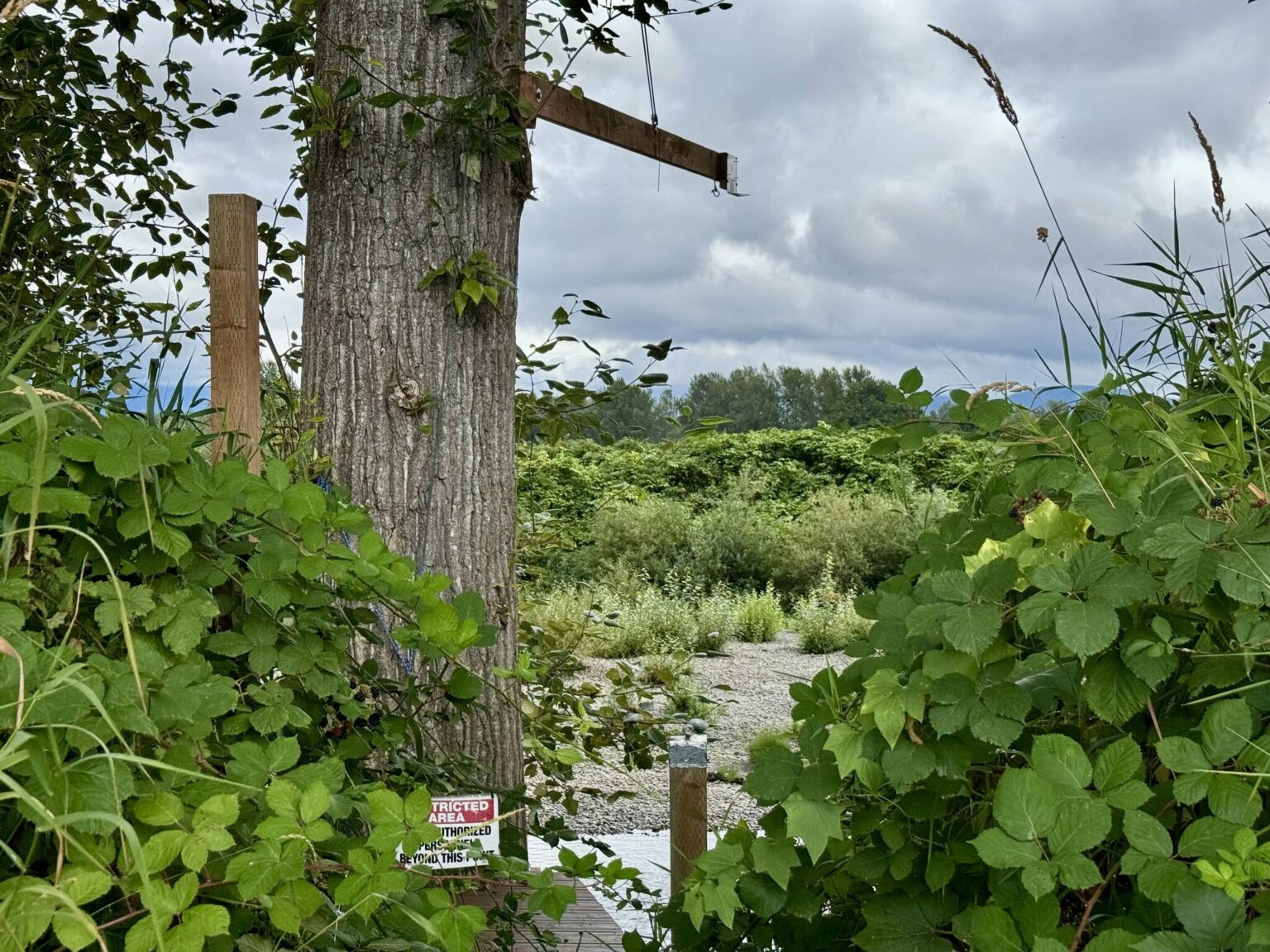 Floodzilla provides critical flood information to Snoqualmie Valley ...